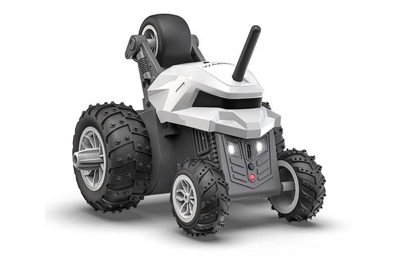 Warrior Remote Control Stunt Car
